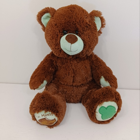 Build-A-Bear | Toys | Build A Bear Girl Scout Bear Thin Mint | Poshmark